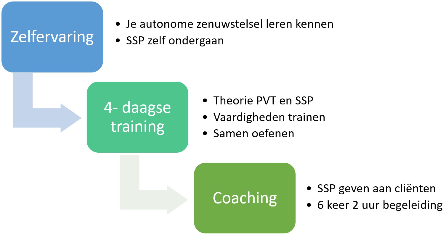 Opleiding